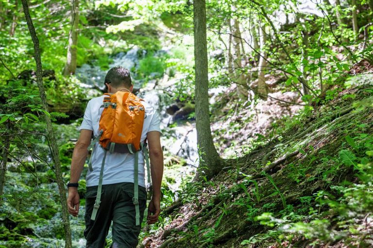 Remarkables - Windfall